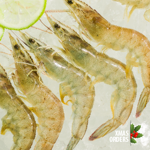 Head On Shell On Vannamei Shrimp (HOSO) - Meksea