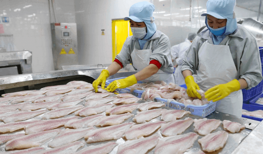 Thailand, Egypt, and Mexico become Vietnam’s pangasius target market ...